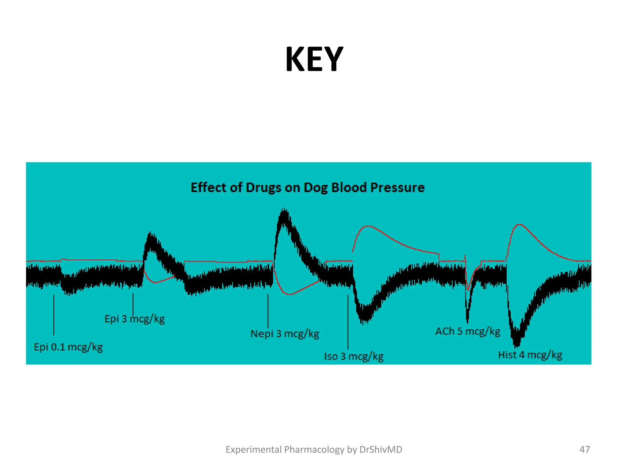 Effect of Drugs on Dog's Blood Pressure using CAL (Computer aided ...