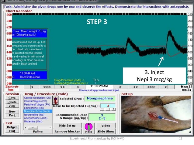 Effect of Drugs on Dog's Blood Pressure using CAL (Computer aided ...