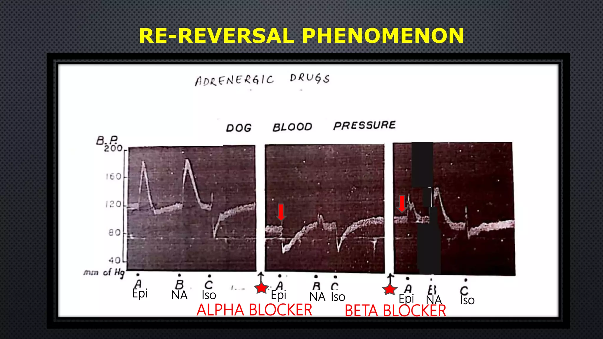 Dog blood pressure | PPTX
