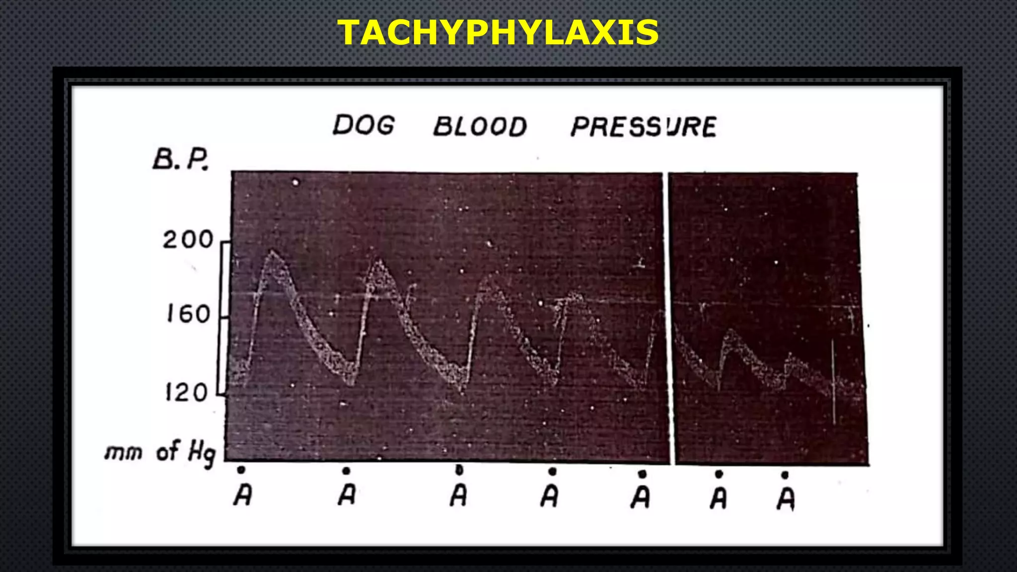 Dog blood pressure | PPTX