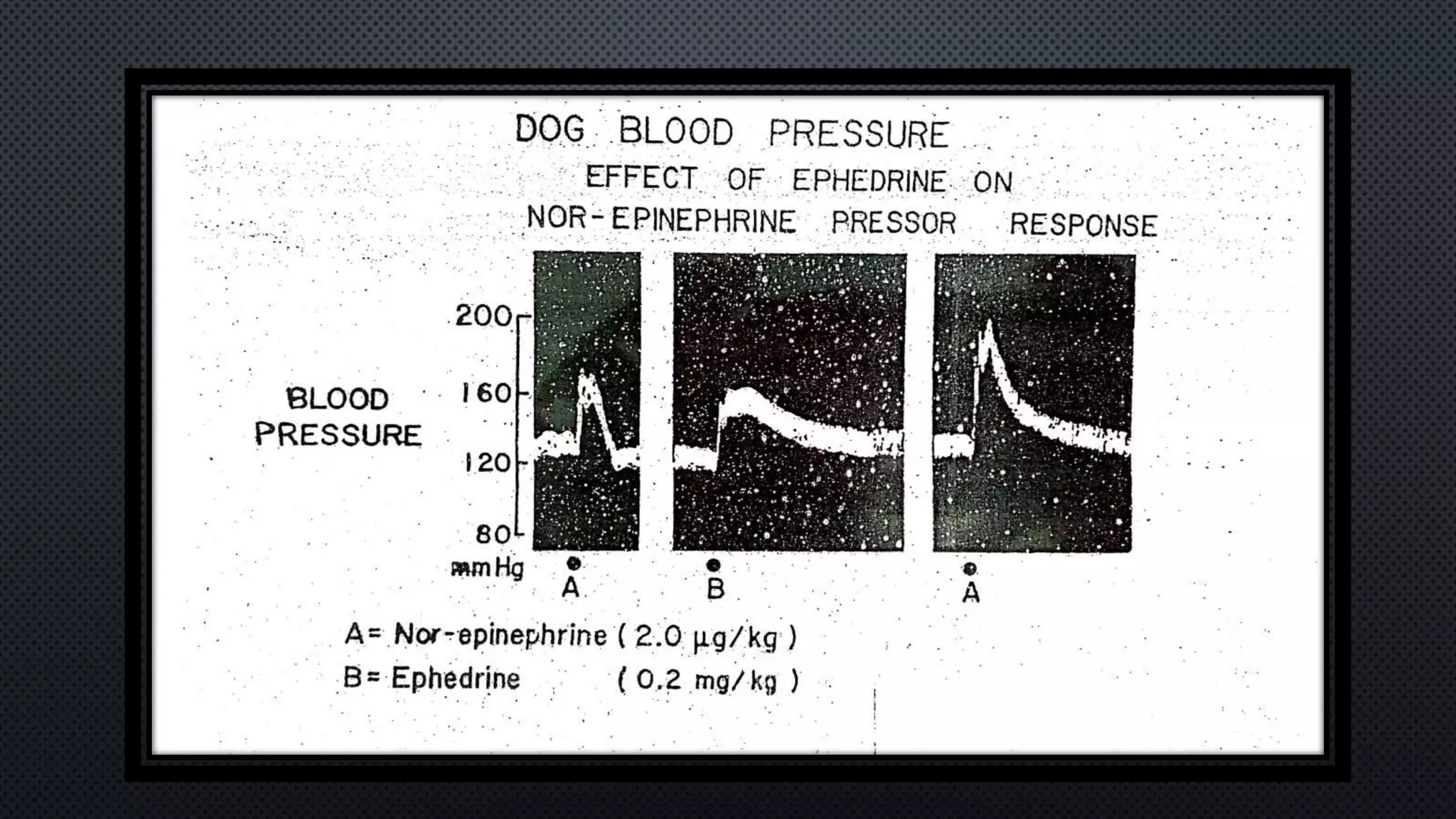 Dog blood pressure | PPTX