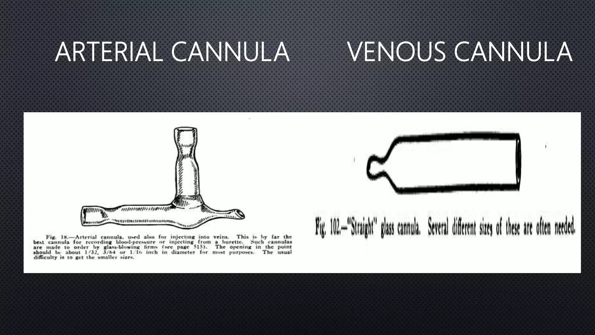 Dog blood pressure | PPTX
