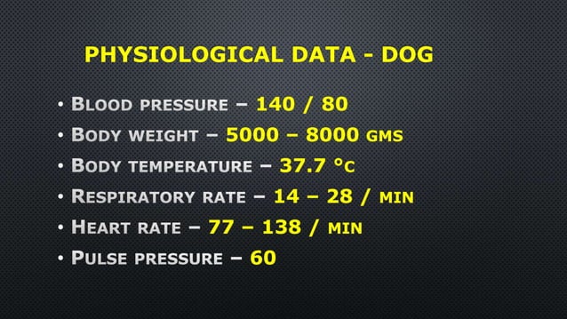 Dog blood pressure | PPTX