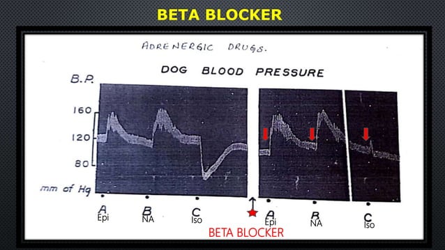 Dog blood pressure | PPT