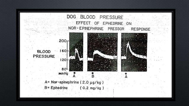 Dog blood pressure | PPT