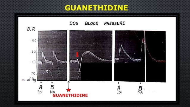 Dog blood pressure | PPTX