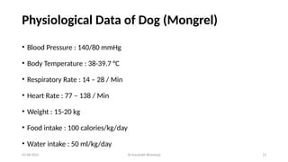 Dog BP-Procedure, Euthanasia, Anesthesia | PPTX