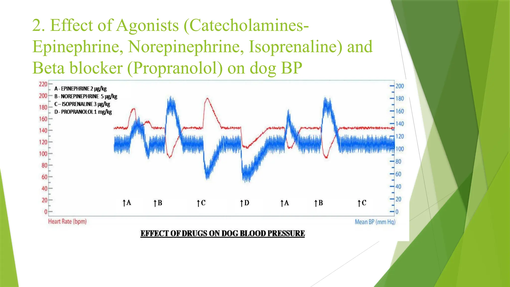 Dog BP CAL student.pptx for pathology asses | PPTX