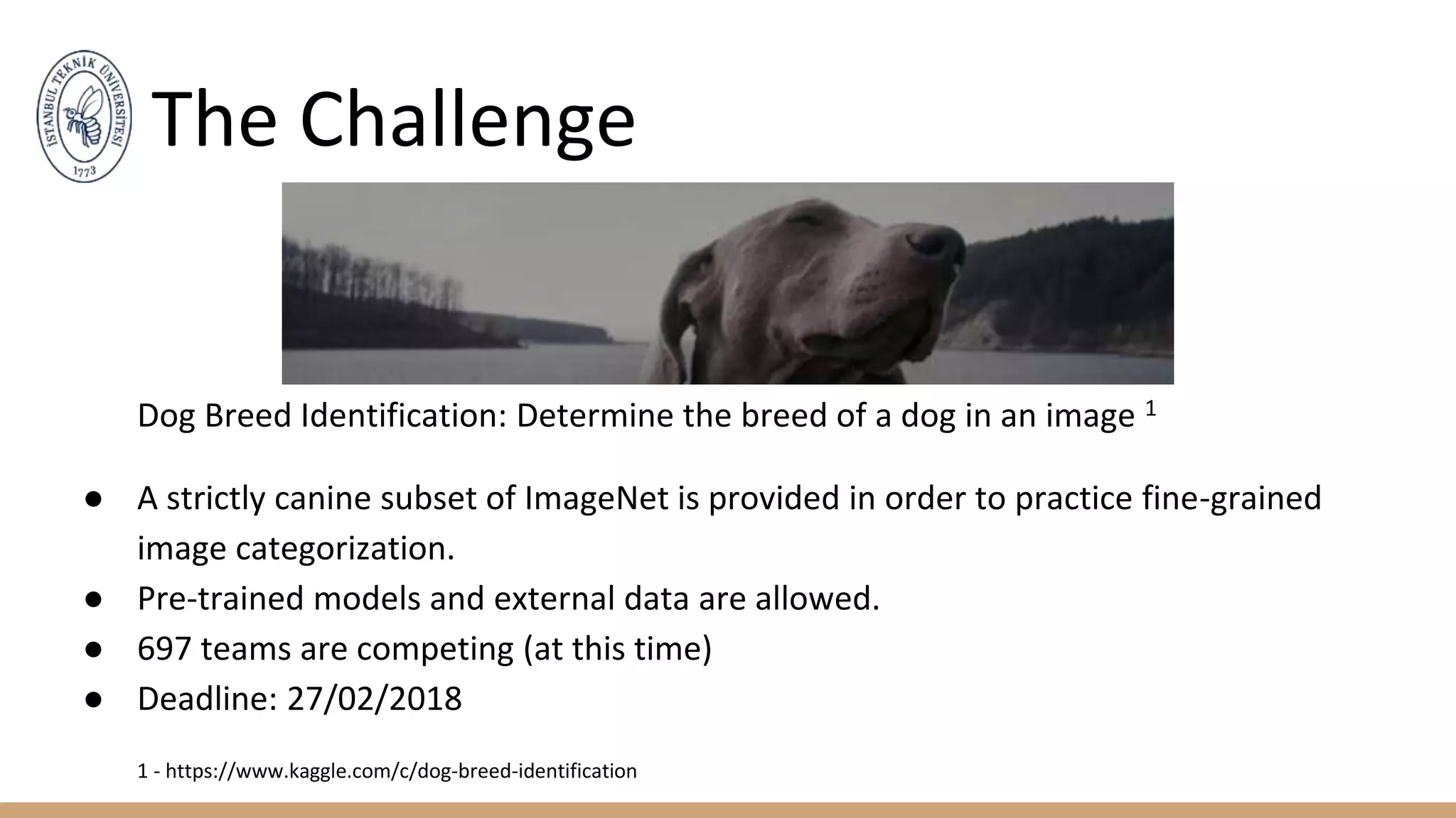 Kaggle Dog breed Identification | PPTX