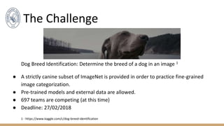Kaggle Dog breed Identification | PPTX
