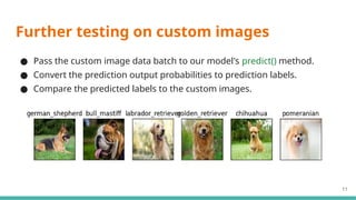 Dog Breed Classification classification.pptx
