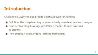 Dog Breed Classification classification.pptx