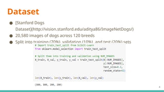 Dog Breed Classification classification.pptx