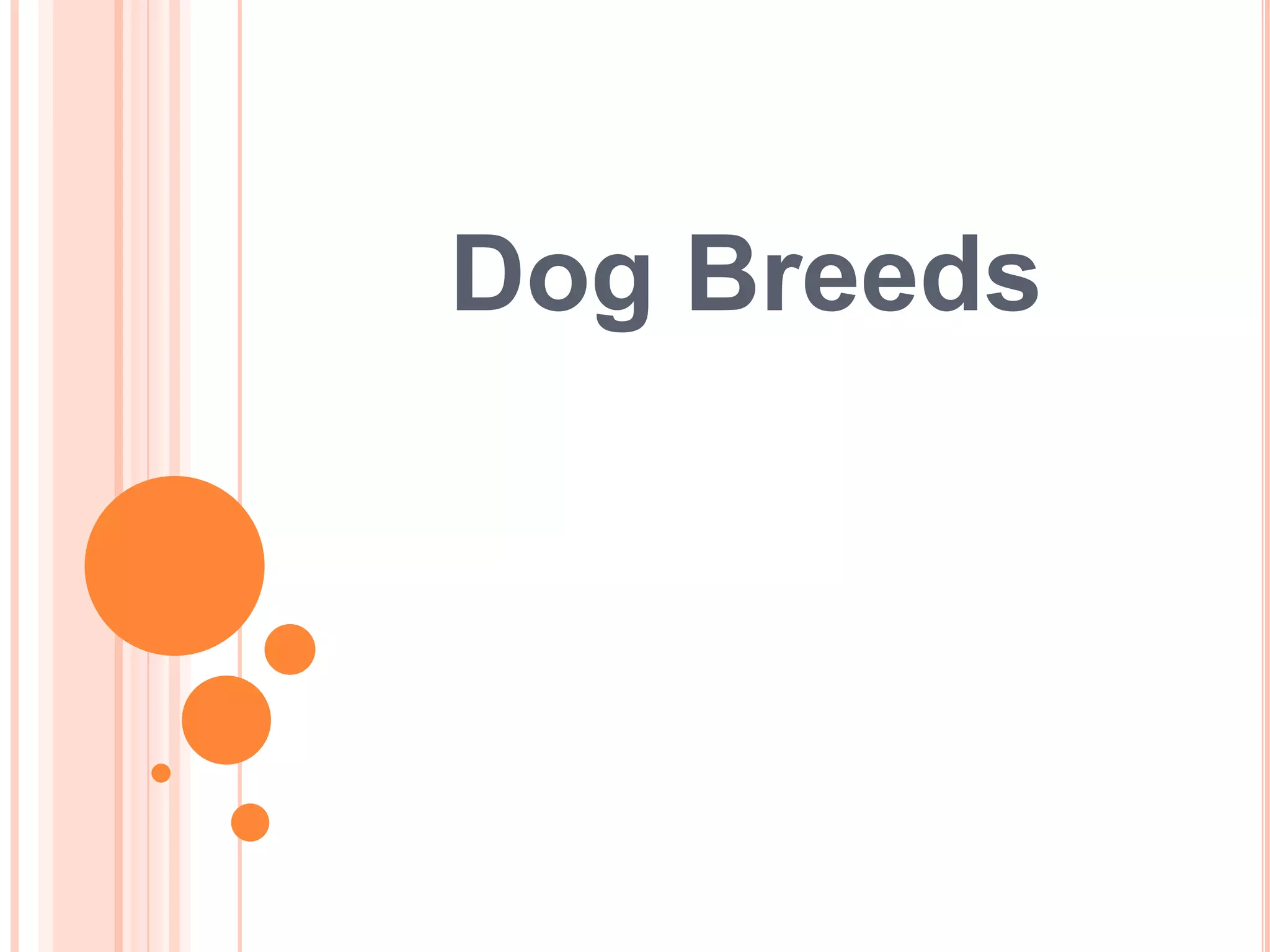 Dog Breeds | PPT