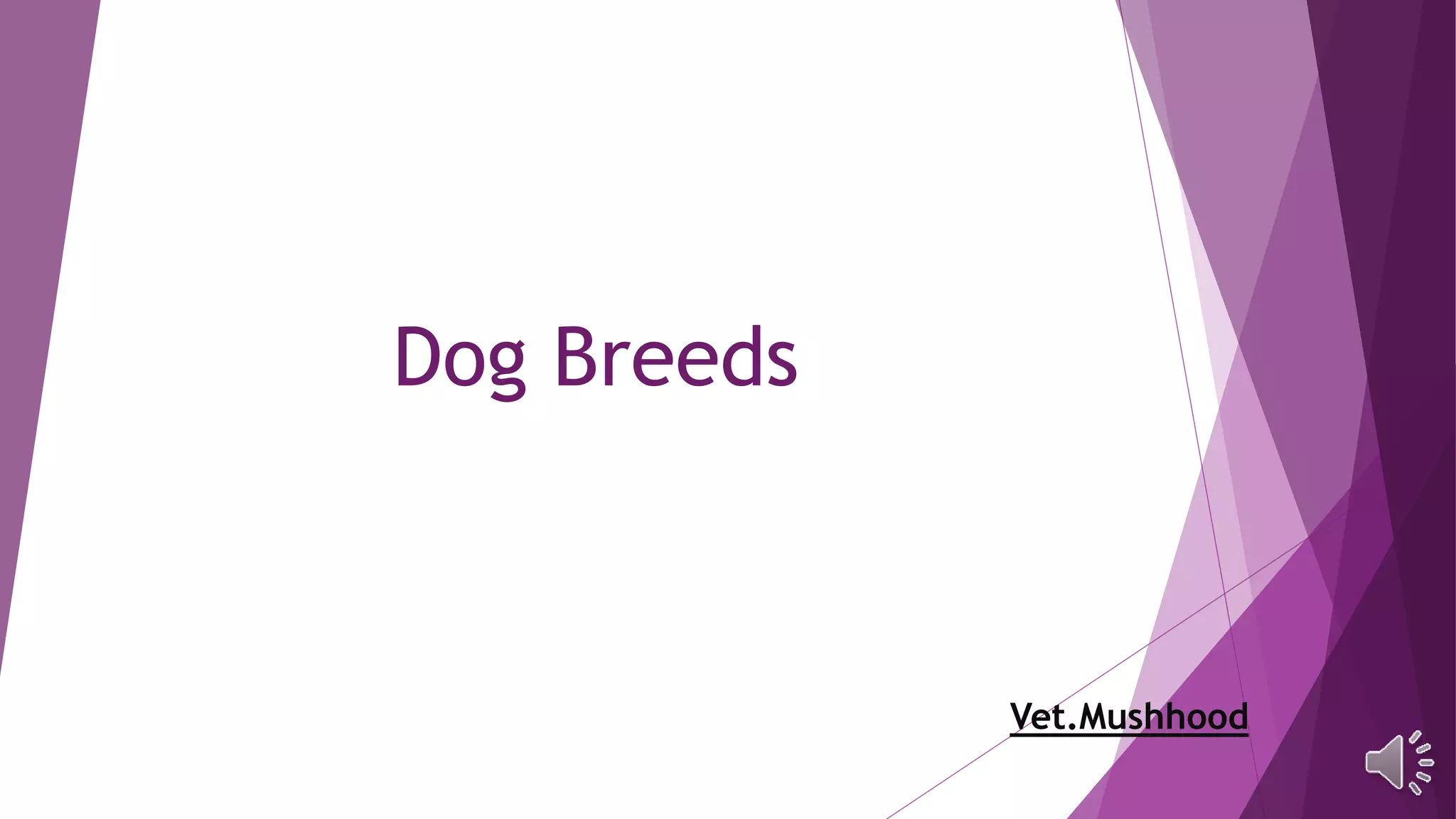 Dog breeds | PPTX