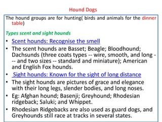 Dog breeds.ppt dog breeds classification | PPT