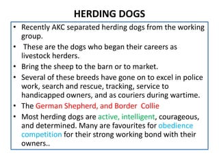 Dog breeds.ppt dog breeds classification | PPT