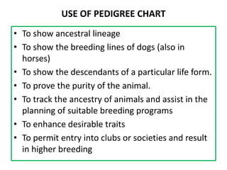 Dog breeds.ppt dog breeds classification | PPT