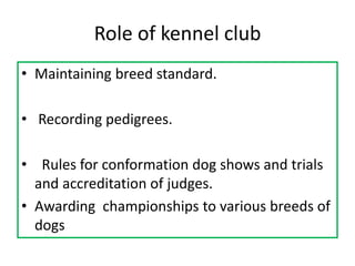 Dog breeds.ppt dog breeds classification | PPT