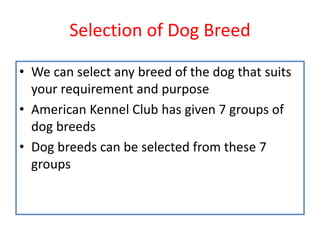 Dog breeds.ppt dog breeds classification | PPT