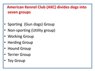 Dog breeds.ppt dog breeds classification | PPT