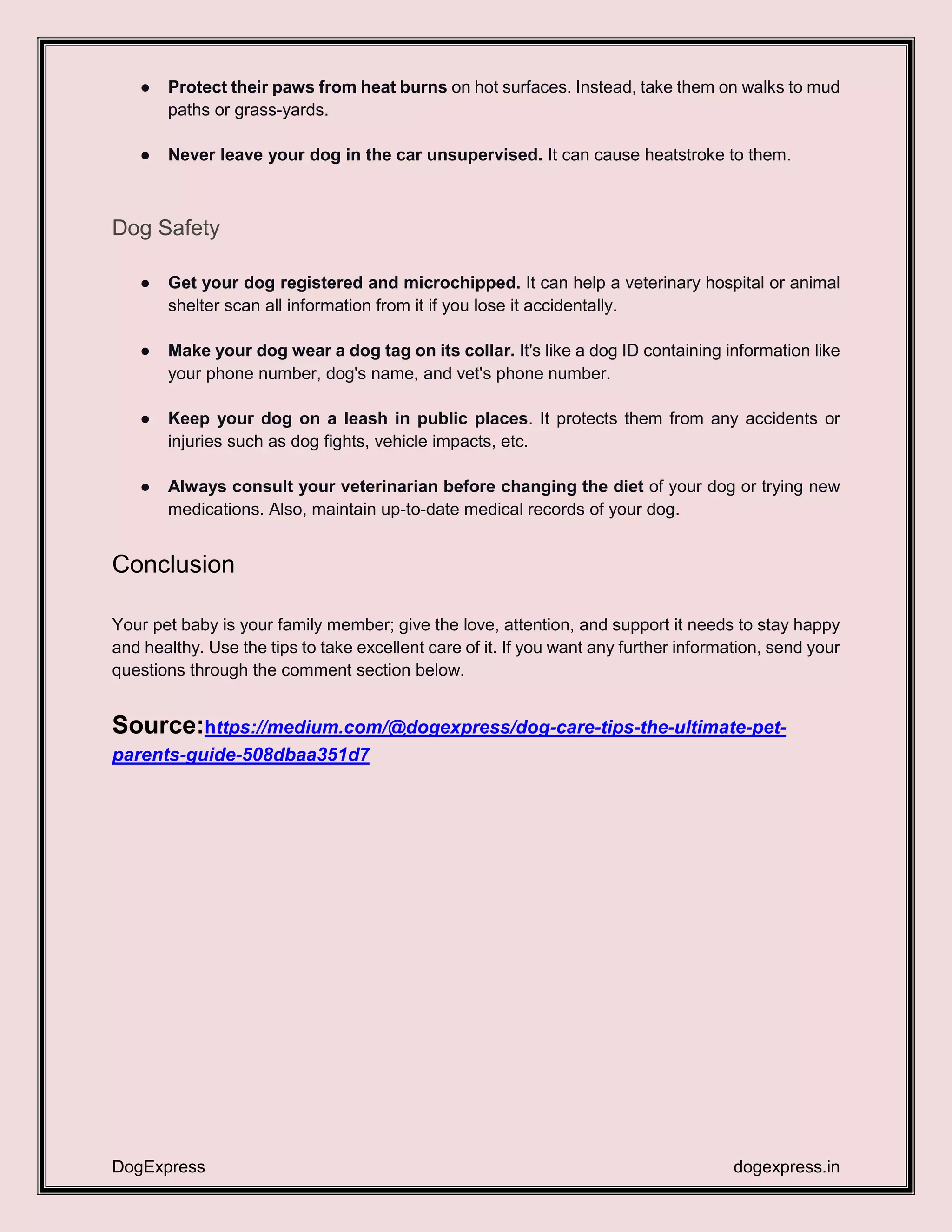 Dog Care Tips: The Ultimate Pet Parent’s Guide | PDF