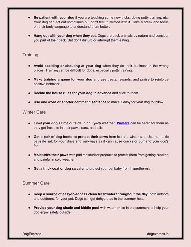 Dog Care Tips: The Ultimate Pet Parent’s Guide | PDF