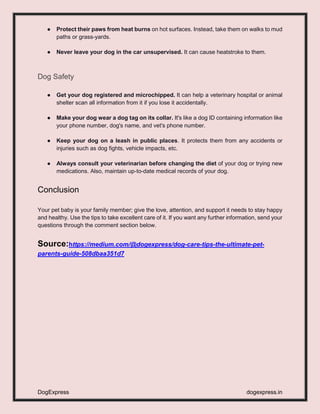 Dog Care Tips: The Ultimate Pet Parent’s Guide | PDF