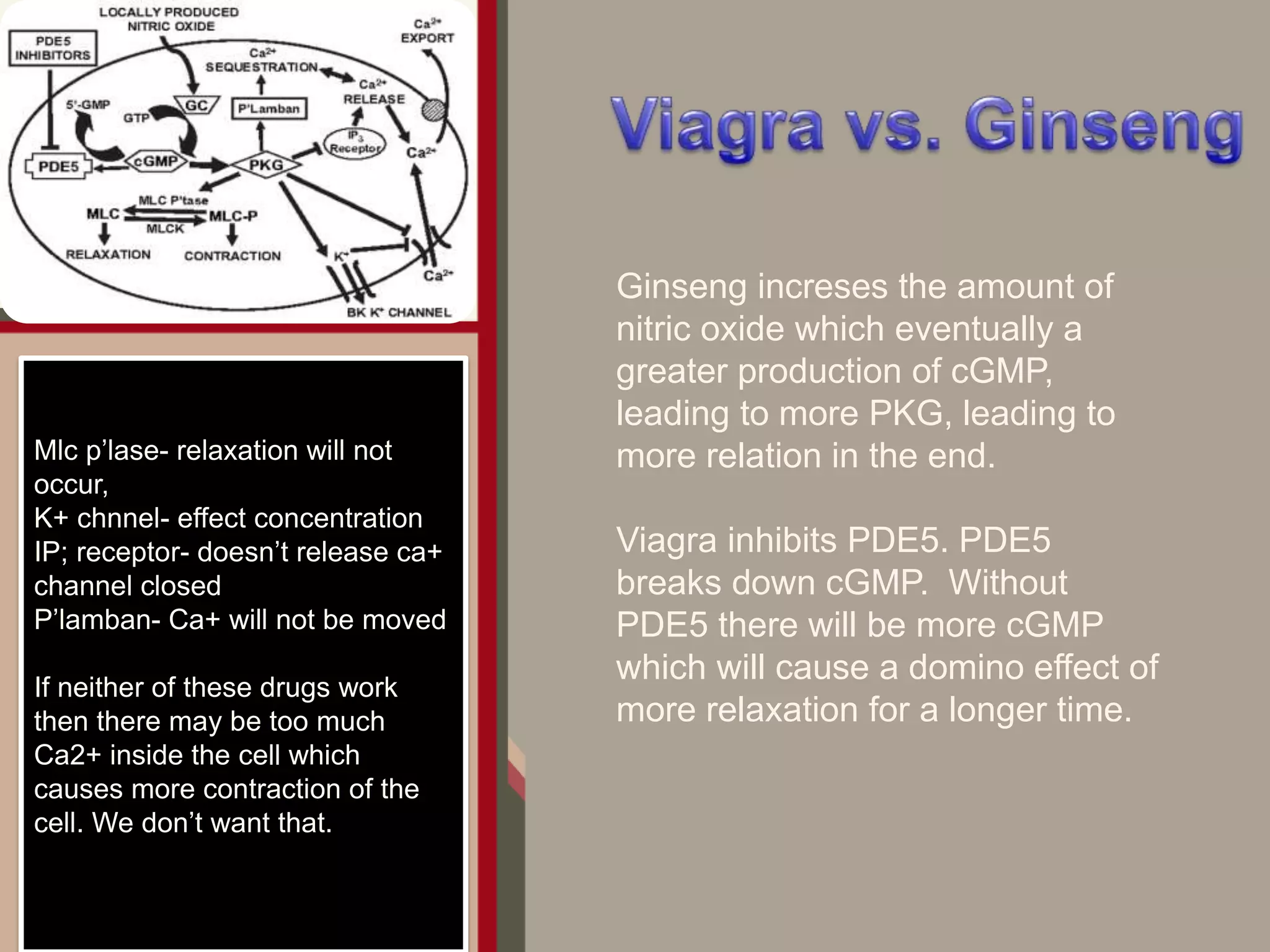 Dog Case Study | PPT
