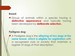 Dog & cat Breeds agb-1-1214567889976543236 | PPT