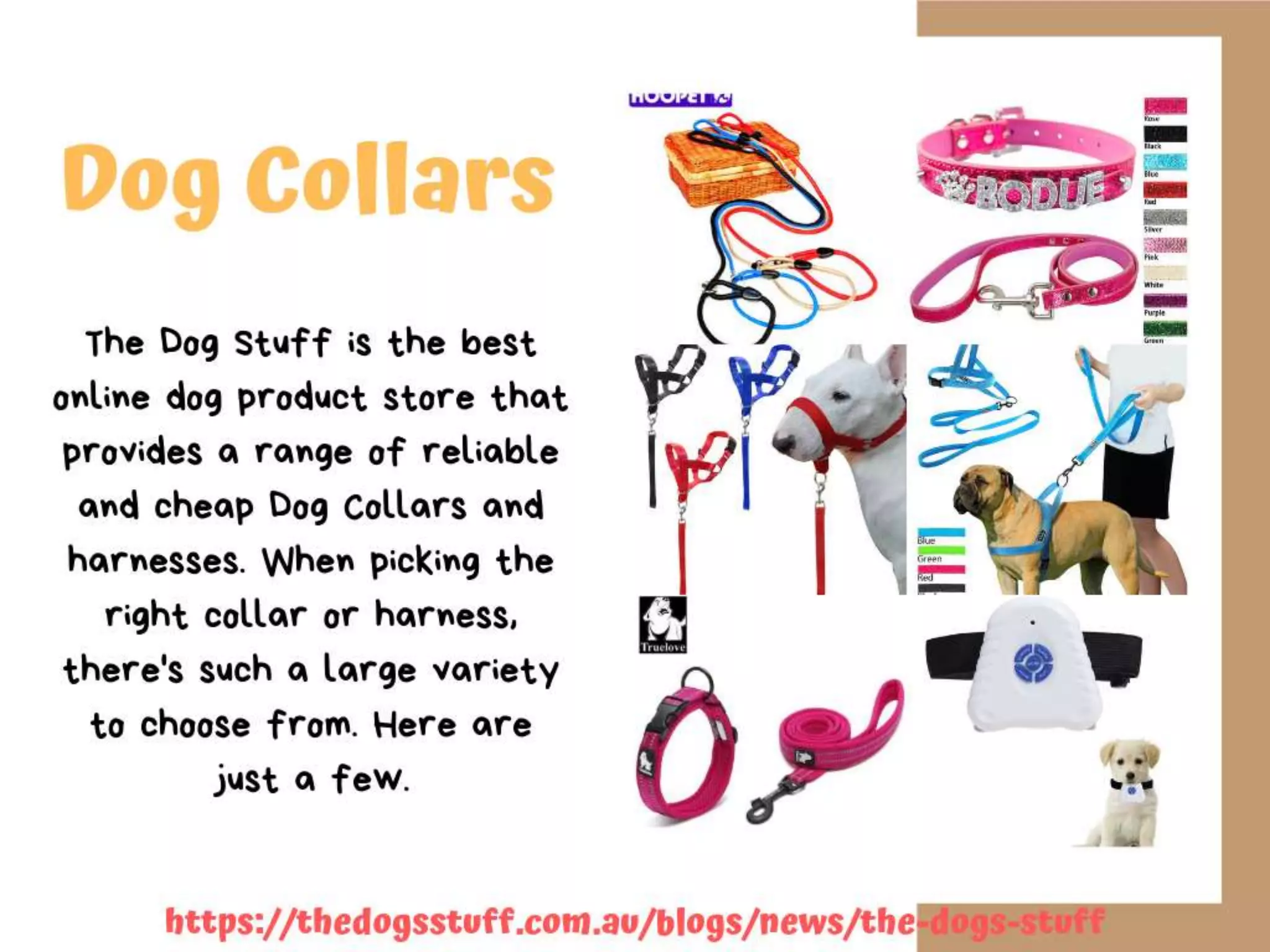 Dog collars | PPTX
