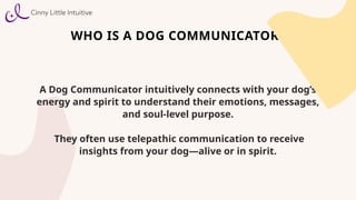 Dog Communication vs. Dog Training: Understanding the Key Differences | PPT