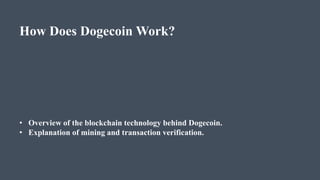 DOGE 1.docx.pptx
