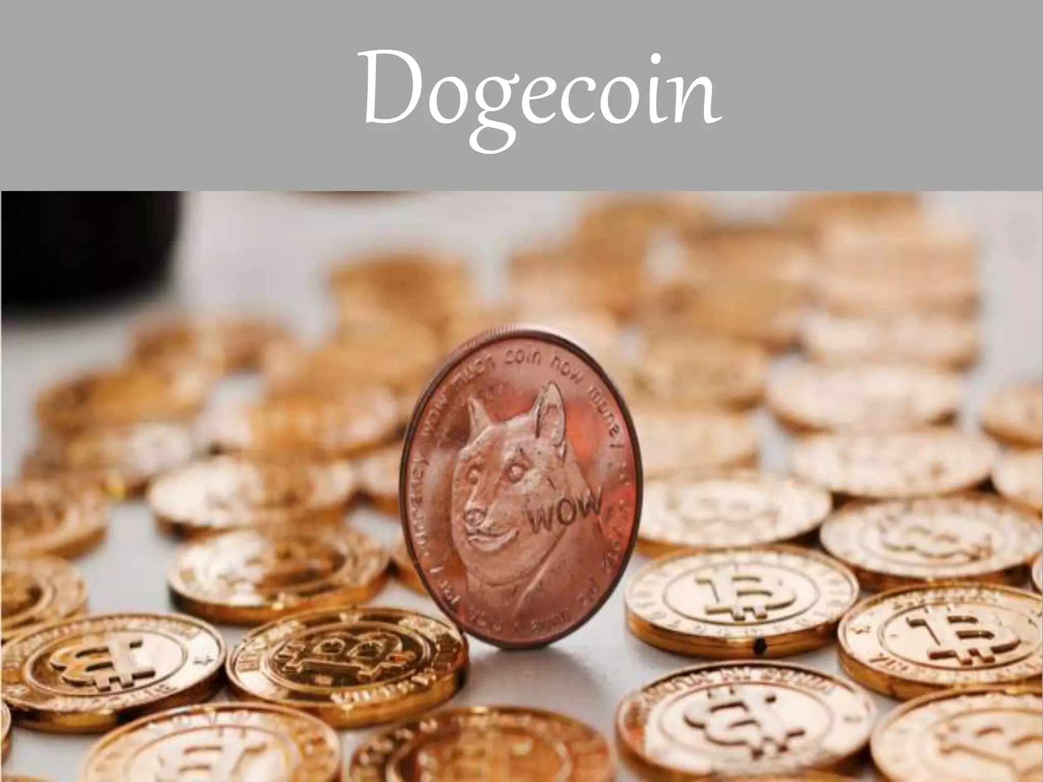 Brief Introduction on Dogecoin | PPTX
