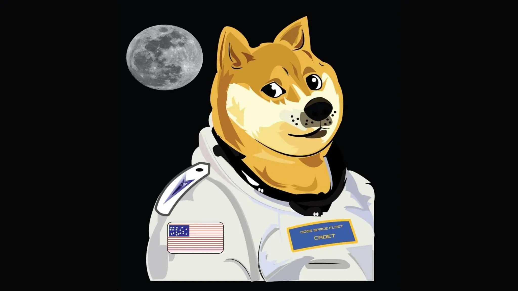 Doge Space Fleet Officer’s Club is a Limited Edition | PPT