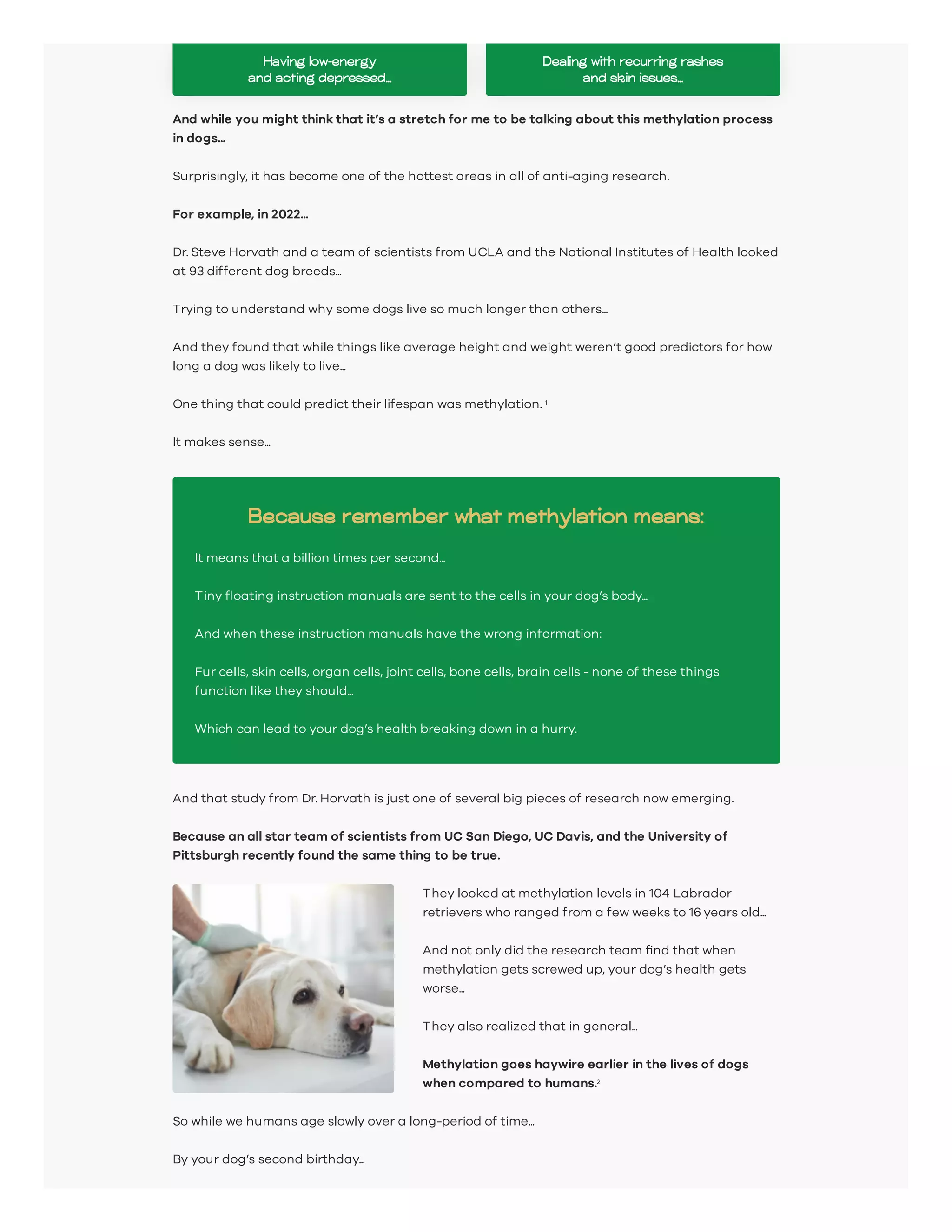 Wild Belly Dog Probiotic | PDF