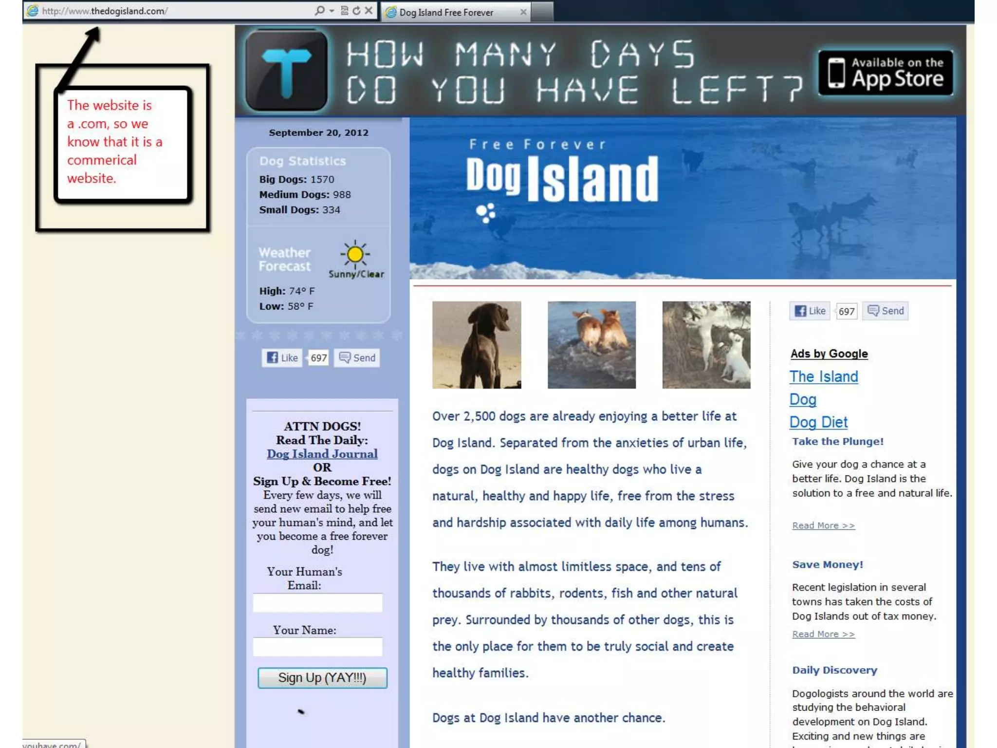 Dog island | PPTX