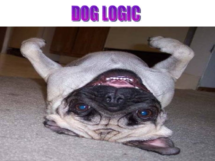 Dog Logic