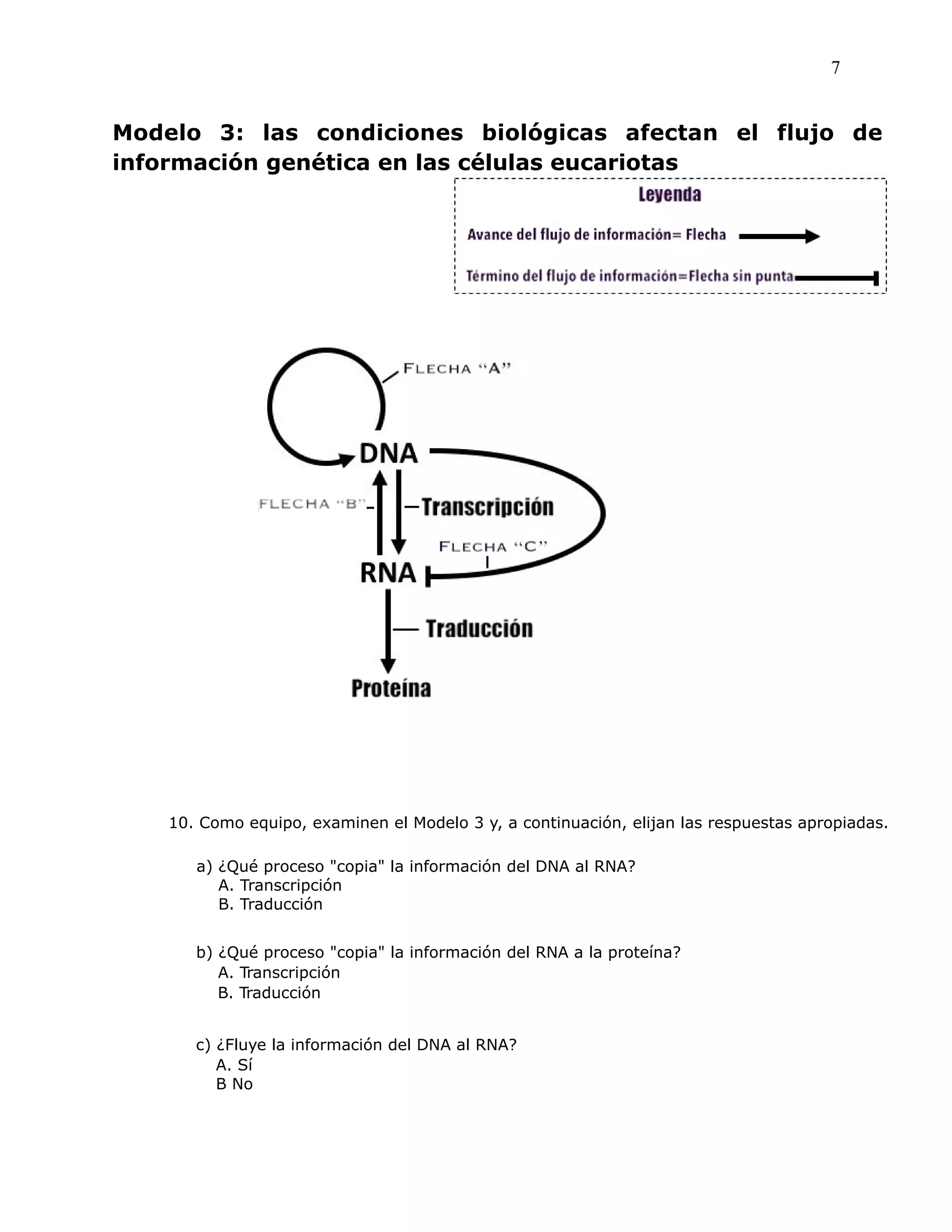 Dogma central de la biología molecular. Guía basada en la metodología ...