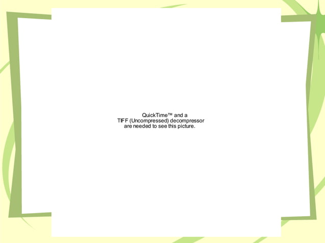 molecular biology DNA and DNA presentation.ppt