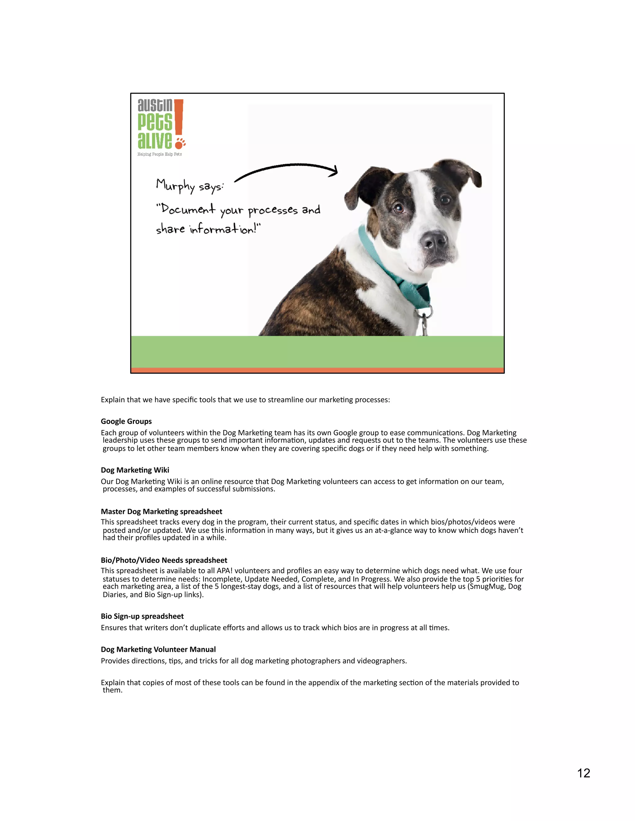 Dog marketing | PDF