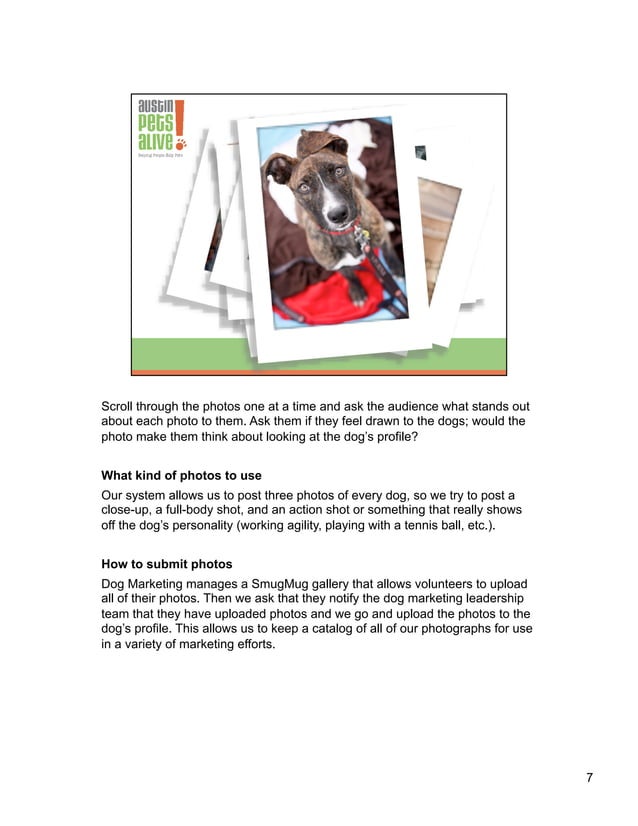 Dog marketing | PDF