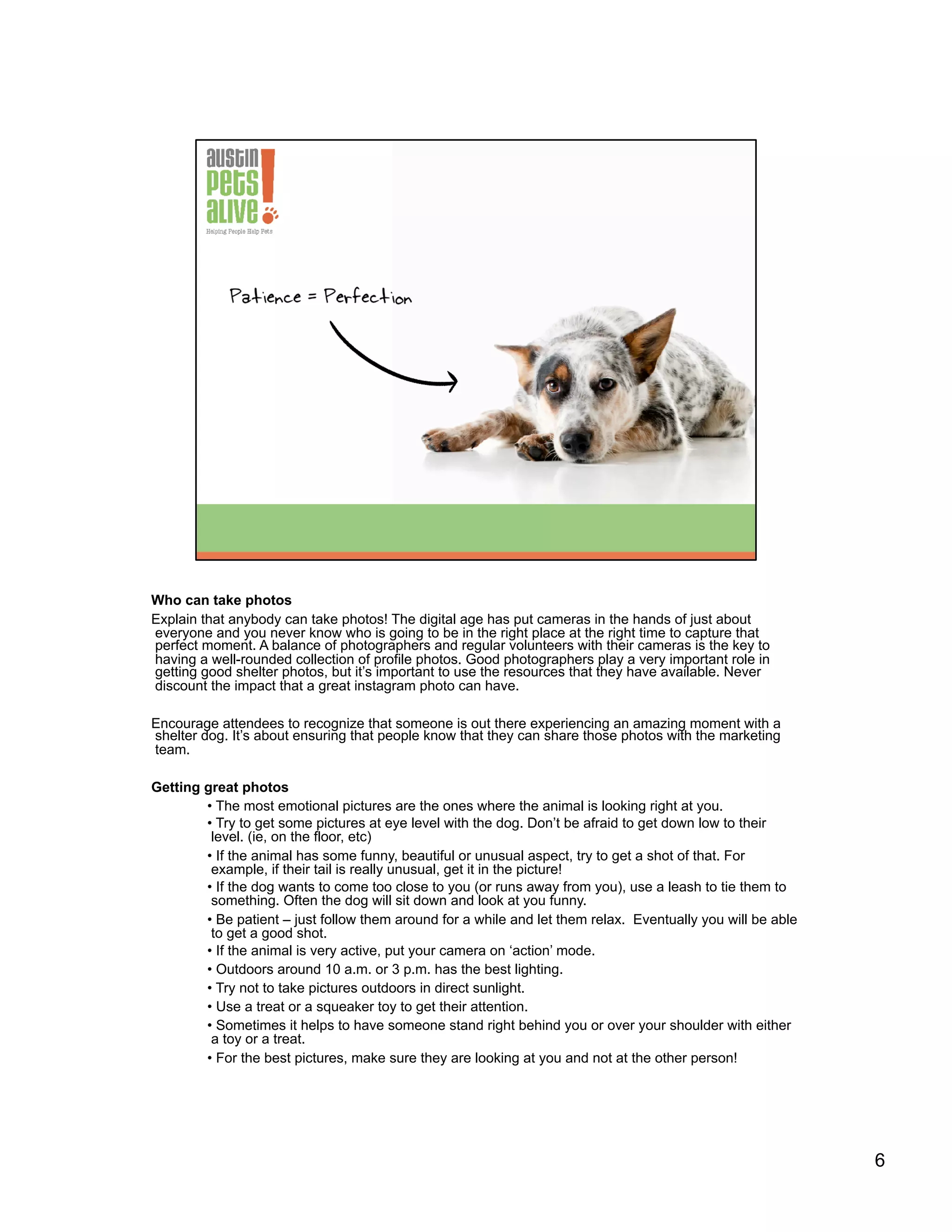 Effective Dog Marketing for Adoption | PDF