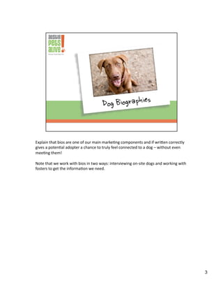 Effective Dog Marketing for Adoption | PDF