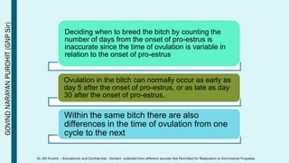 Dog mating for optimum pregnancy | PPT