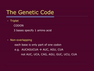 Translation | PPT | Programming Languages | Computing