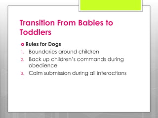 Dog Meets Baby Webinar | PPTX