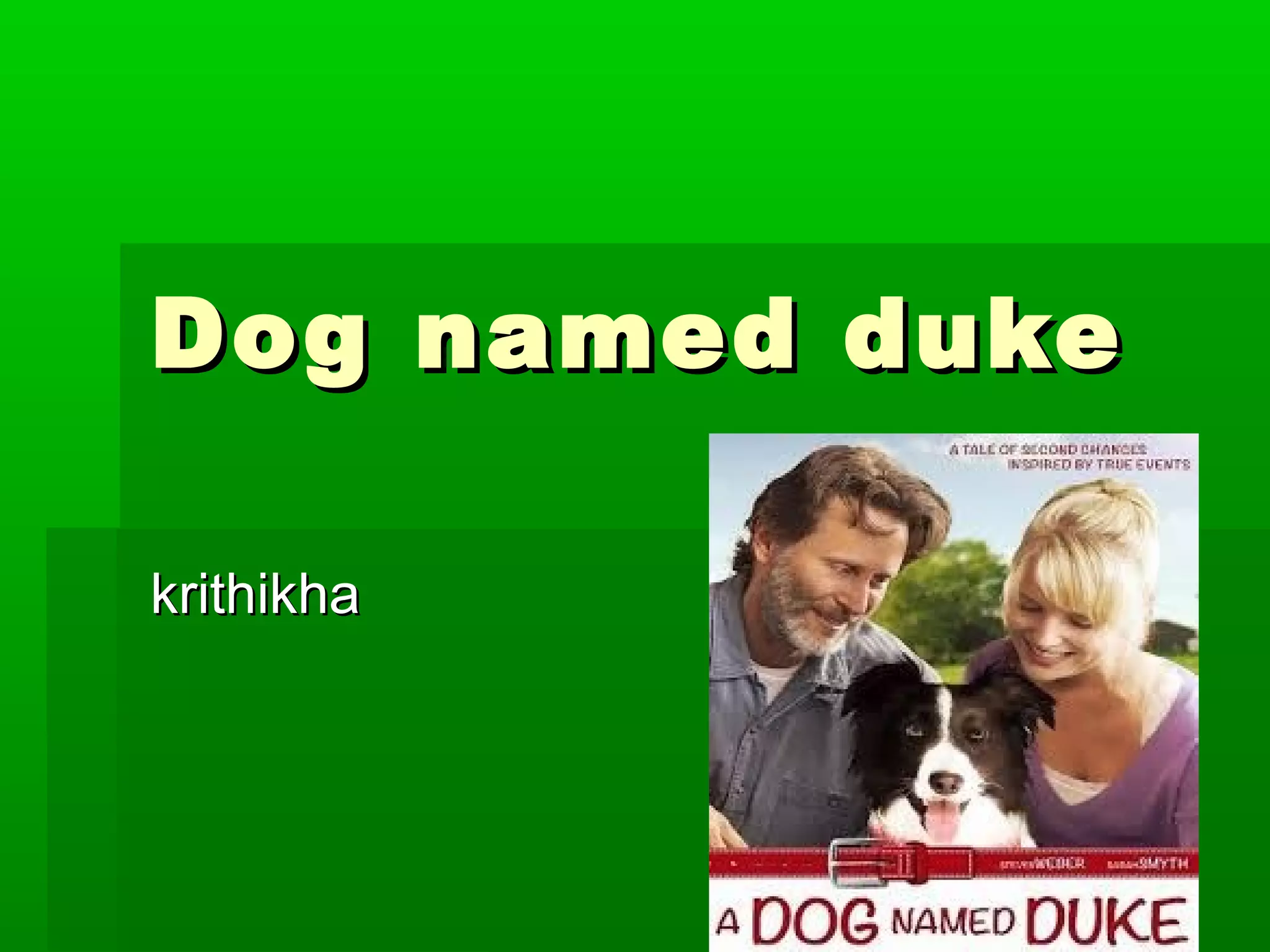 Dog named duke | PPT