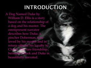 A dog named duke | PPT