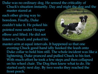 A dog named duke | PPT | Free Download